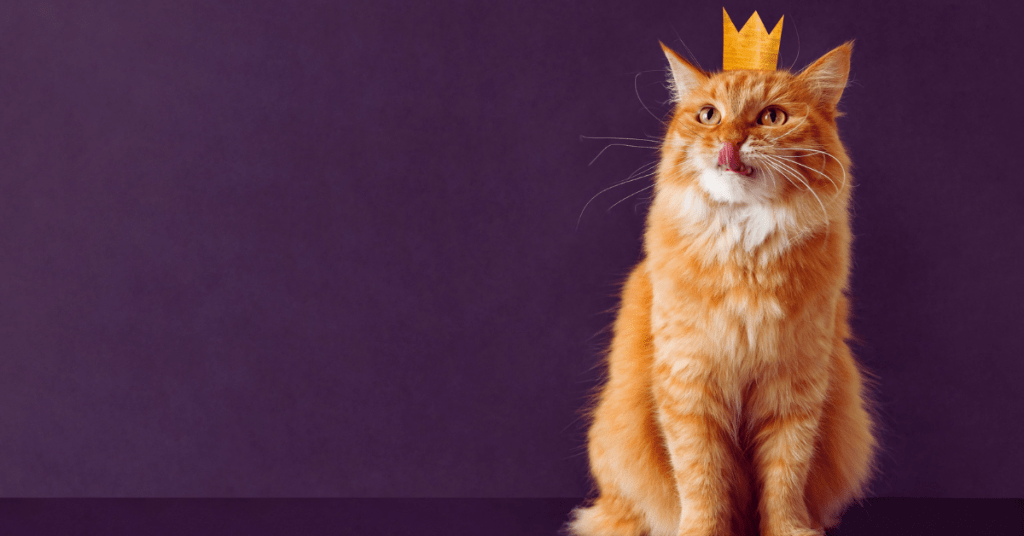 Golden Kitty Awards by Product Hunt: Innovative products from SEE