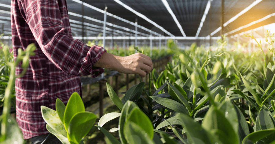 Farm-to-Table: 40 Food Startups Transforming How We Eat