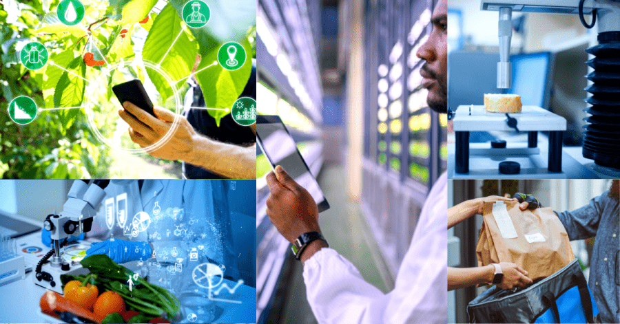 Farm-to-Table: 40 Food Startups Transforming How We Eat