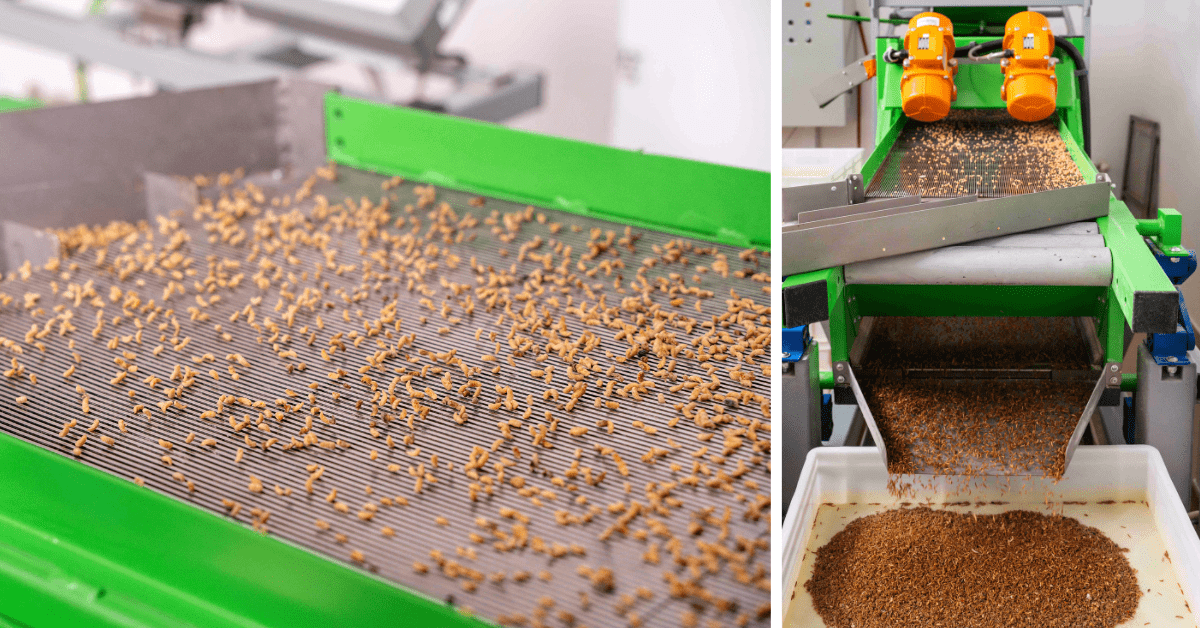 Proteine Resources Secures €1.4M for Its Insect Farming Solutions